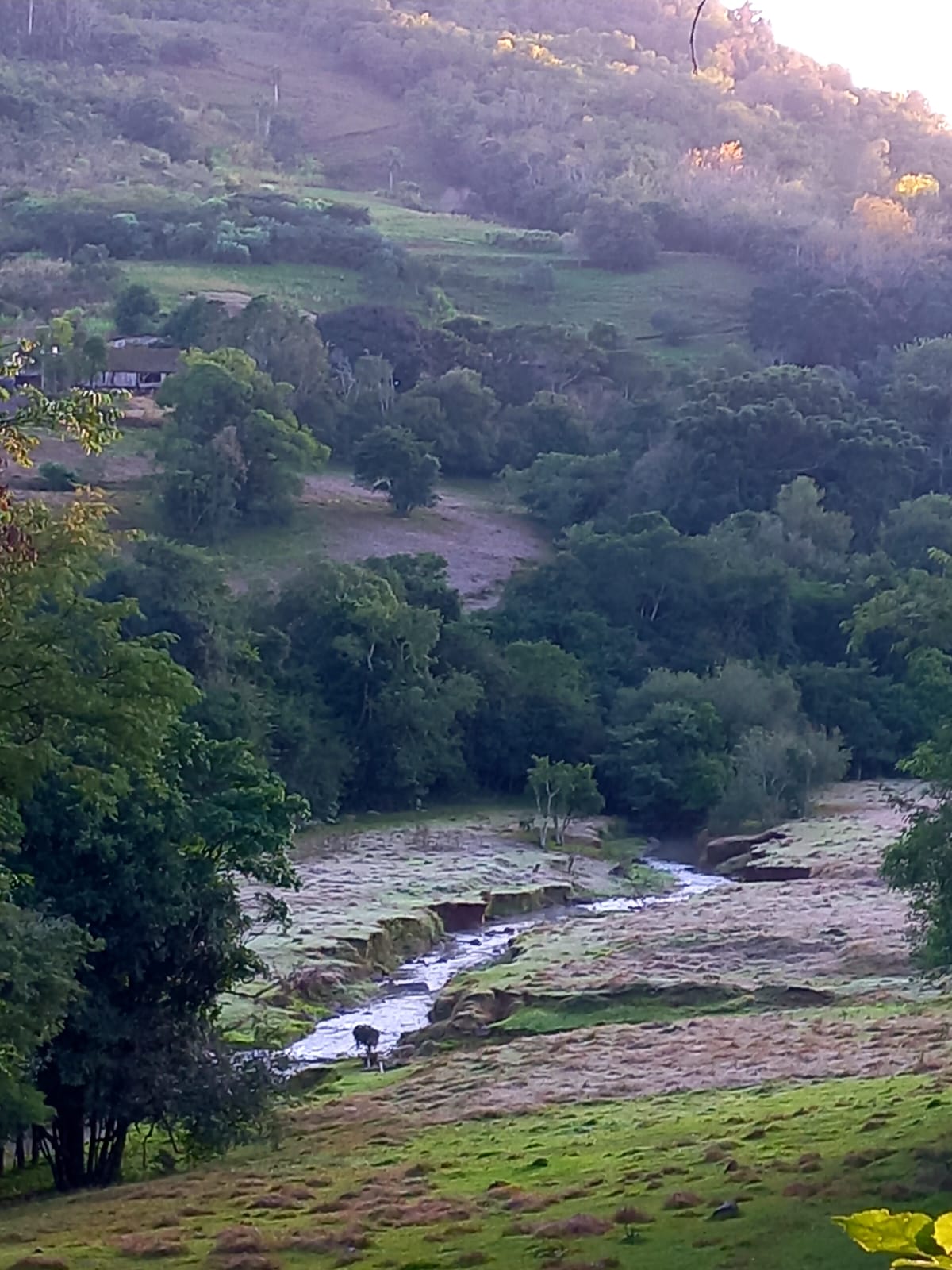 Soledade registra -1,3°C e entra na lista das cidades mais frias do RS ...