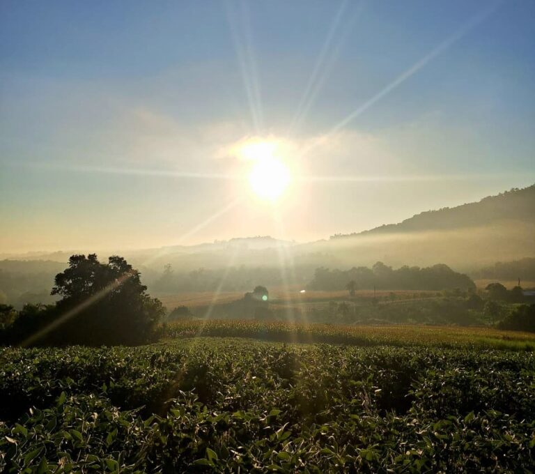 Após uma quinta amena, região terá sequência de dias ensolarados e ...